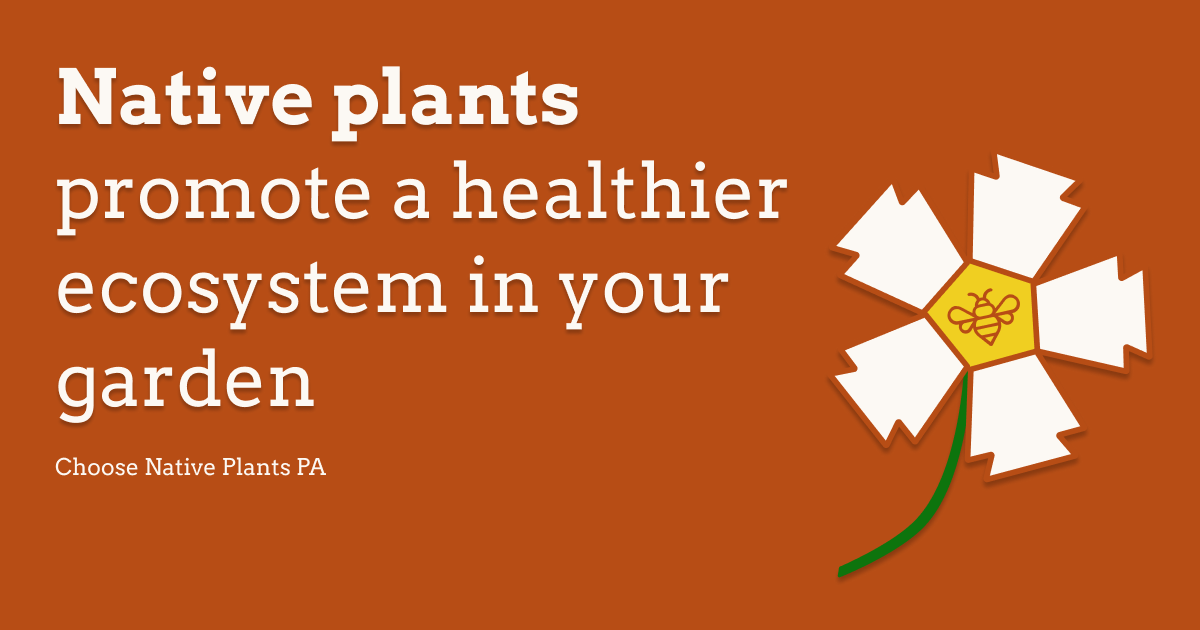 Choose Native Plants